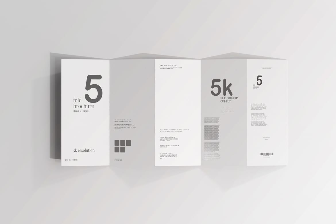Five Fold DL Brochure Mockups | Premium & Free PSD Mockup Store