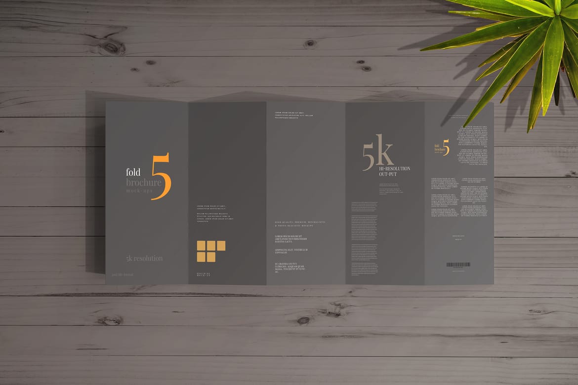 Five Fold DL Brochure Mockups | Premium & Free PSD Mockup Store