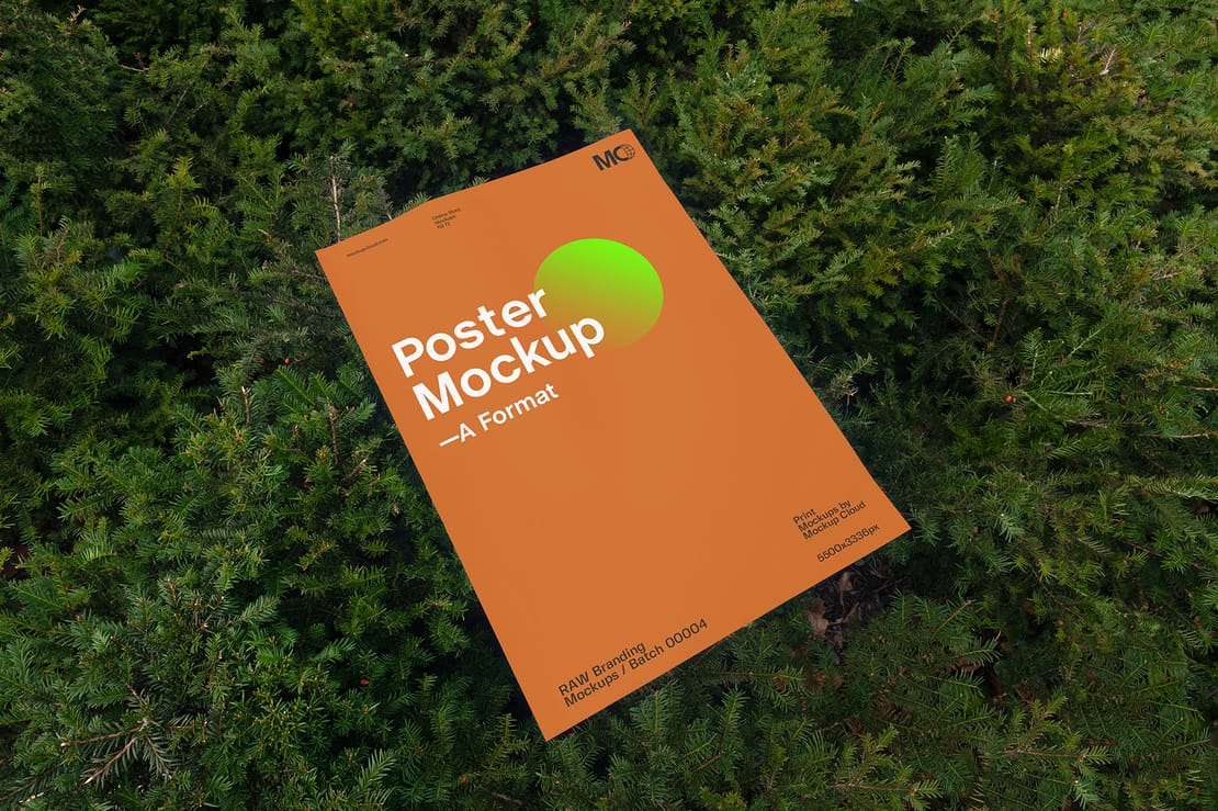 Print Editorial Mockups | Premium & Free PSD Mockup Store